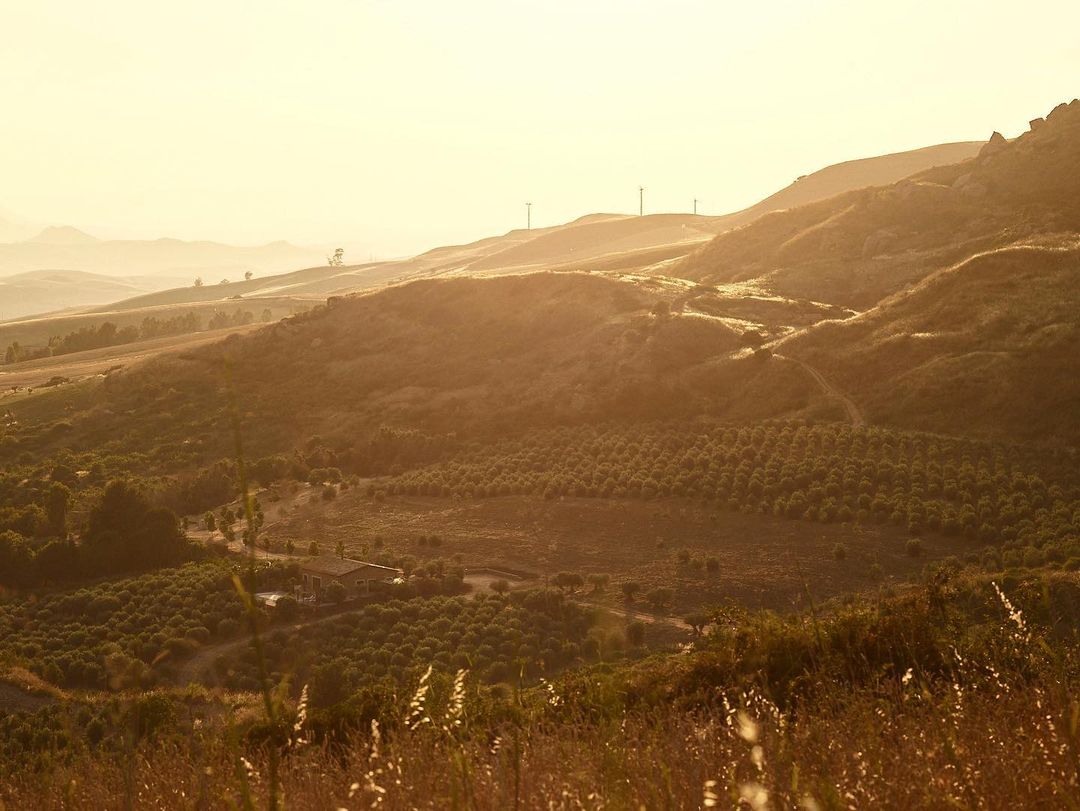 Furtuna Skin: The story of a promise | SAVIN'SKIN | Romania's Clean ...